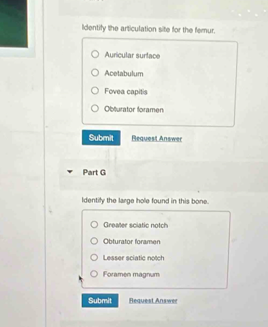 Solved: Identify the articulation site for the femur. Auricular surface ...