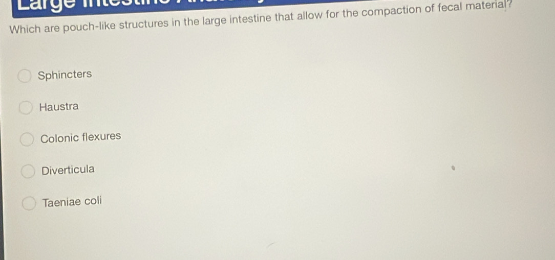 Solved: Lar g e m Which are pouch-like structures in the large ...