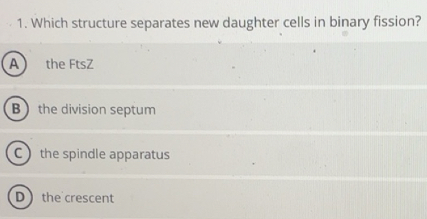 Solved: Which structure separates new daughter cells in binary fission ...