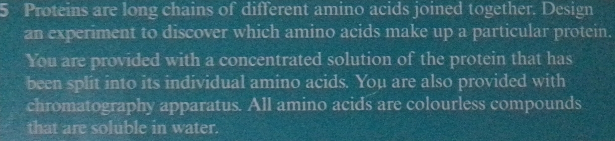 Solved: Proteins are long chains of different amino acids joined ...