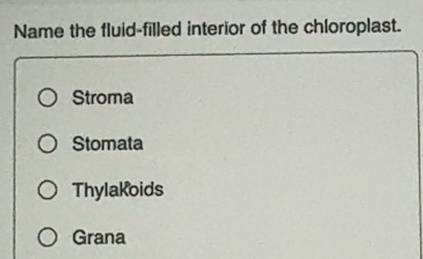 Solved: Name the fluid-filled interior of the chloroplast. Stroma ...