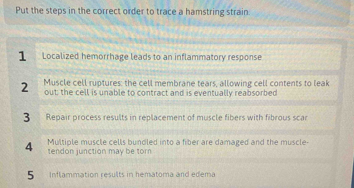 Solved: Put the steps in the correct order to trace a hamstring strain ...