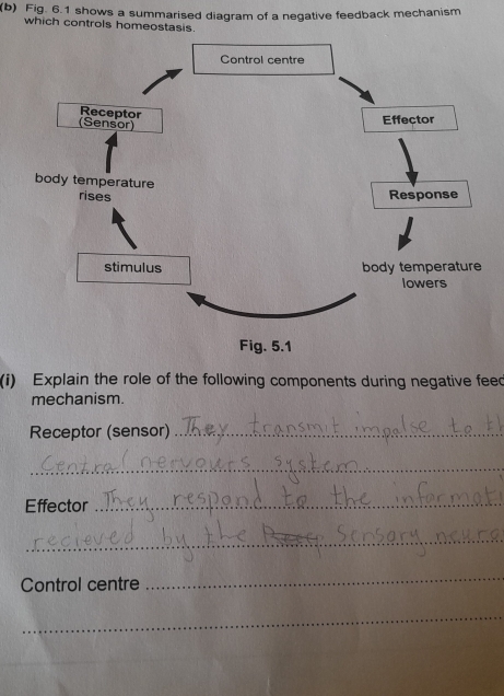 Solved: Fig. 6.1 shows a summarised diagram of a negative feedback ...