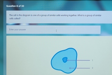 Solved: The cell in the diagram is one of a group of similar cells ...