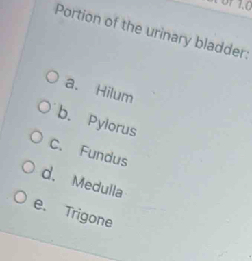 Solved: Portion of the urinary bladder: a. Hilum b. Pylorus C. Fundus d ...