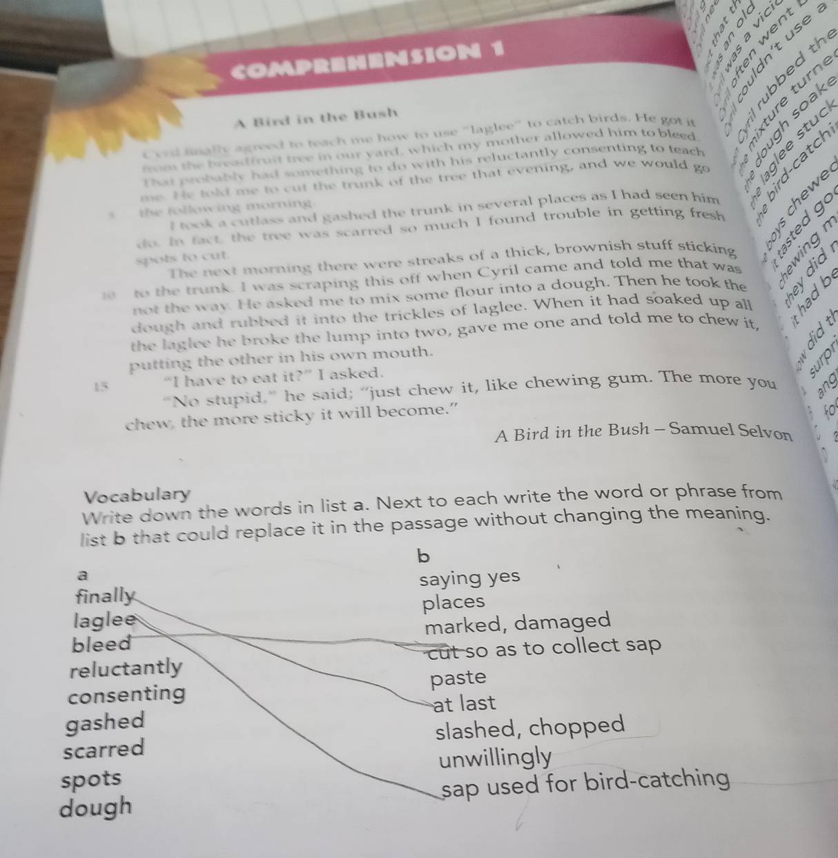 Solved: COMPREHENSION 1 omsy é s Cvrd finally agreed to teach me how to ...