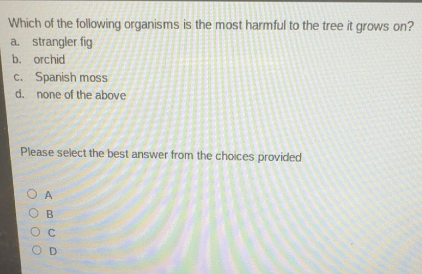 Solved: Which of the following organisms is the most harmful to the ...