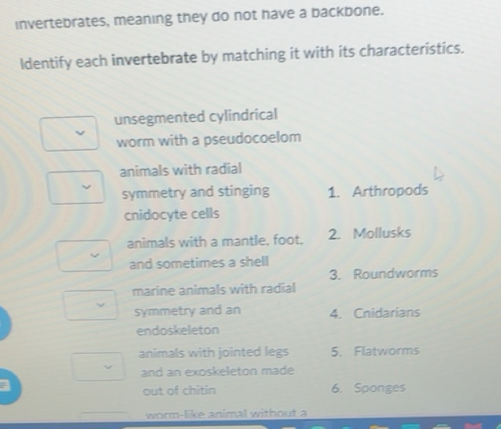 Solved: invertebrates, meaning they do not have a backbone. Identify ...