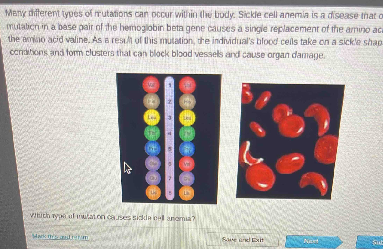 Solved: Many different types of mutations can occur within the body ...