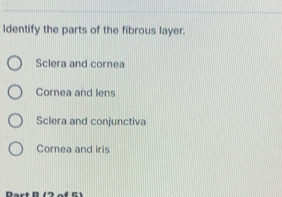 Solved: Identify the parts of the fibrous layer. Sclera and cornea ...