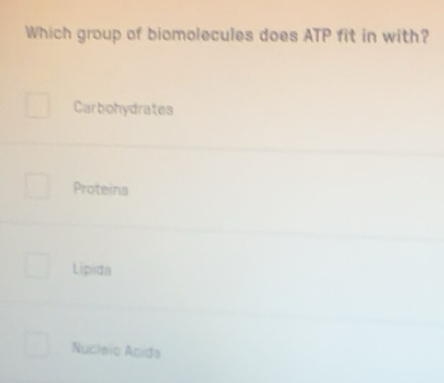 Solved: Which group of biomolecules does ATP fit in with? Carbohydrates ...