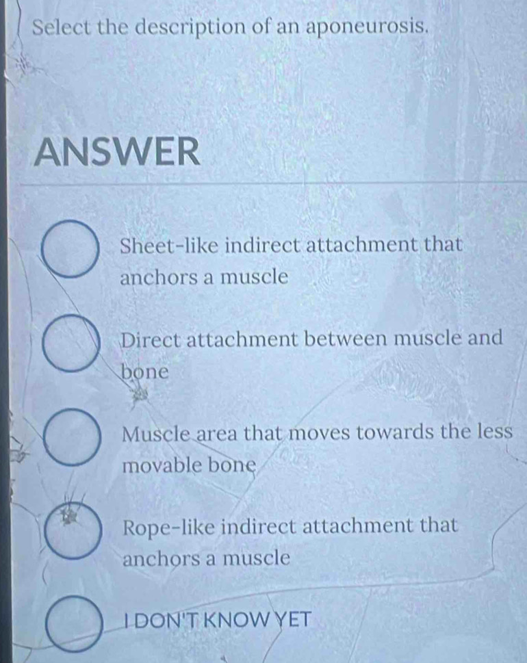 Solved: Select the description of an aponeurosis. ANSWER Sheet-like ...