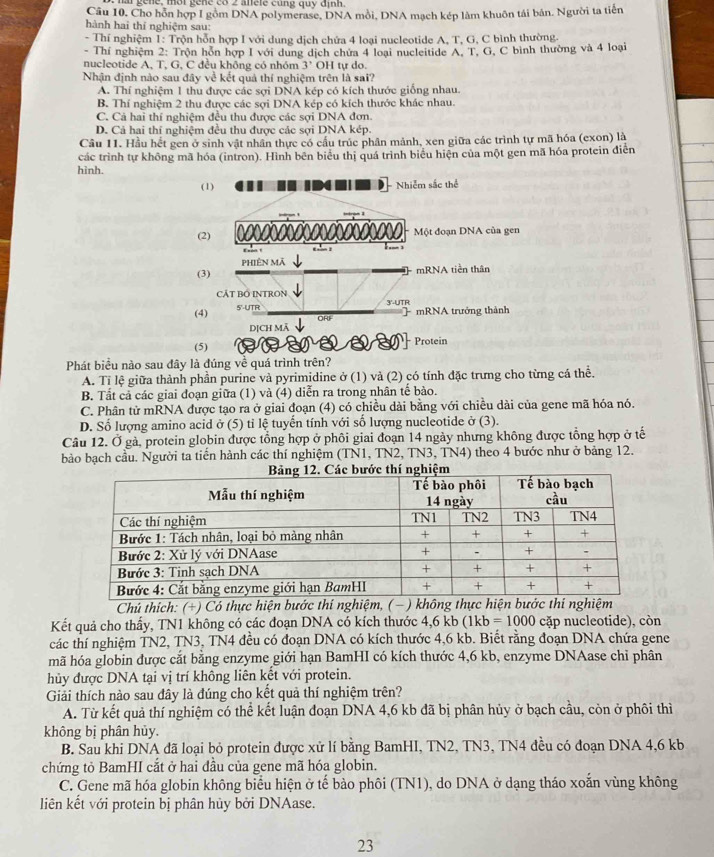 Giải quyết:Cho hồn hợp I gồm DNA polymerase, DNA mỗi, DNA mạch kép làm ...