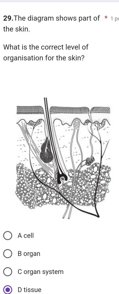 Solved: The diagram shows part of * 1 p the skin. What is the correct ...