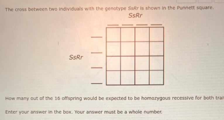 Solved: The cross between two individuals with the genotype SsRr is ...