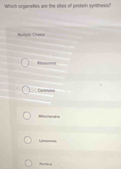 Solved: Which organelles are the sites of protein synthesis? Multiple ...