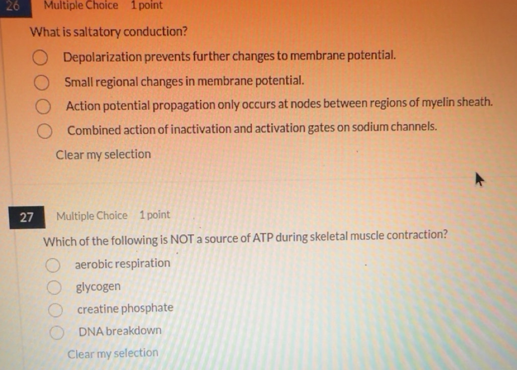 Solved: What is saltatory conduction? Depolarization prevents further ...