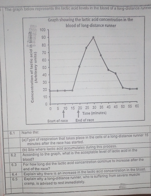 Solved: The graph below represents the lactic acid levels in the blood ...