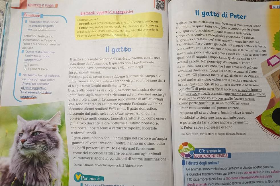 Risolto:DENTRO E FUORI IL TE Elementi oggettivi e soggettivi Il gatto ...