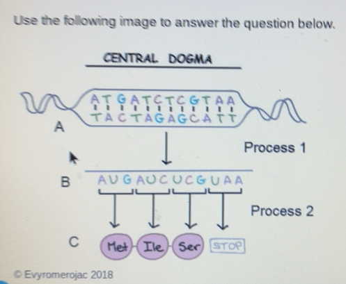 Solved: Use the following image to answer the question below ...