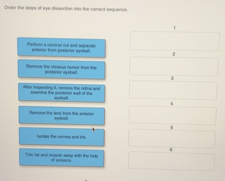 Solved: Order the steps of eye dissection into the correct sequence. 1 ...