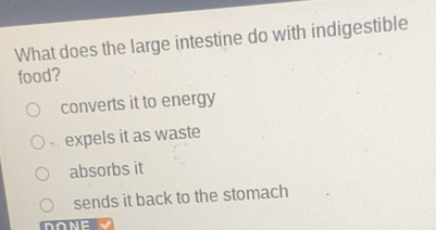 Solved: What does the large intestine do with indigestible food ...