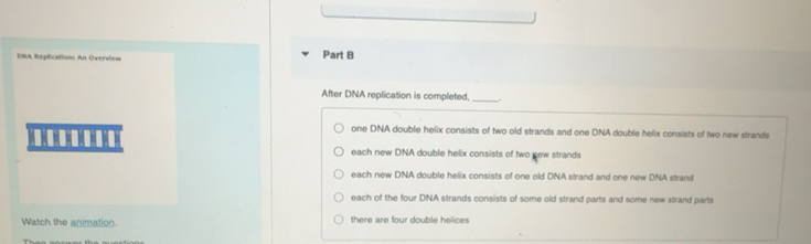 Solved: DOA Replication: An Overview Part B After DNA replication is ...