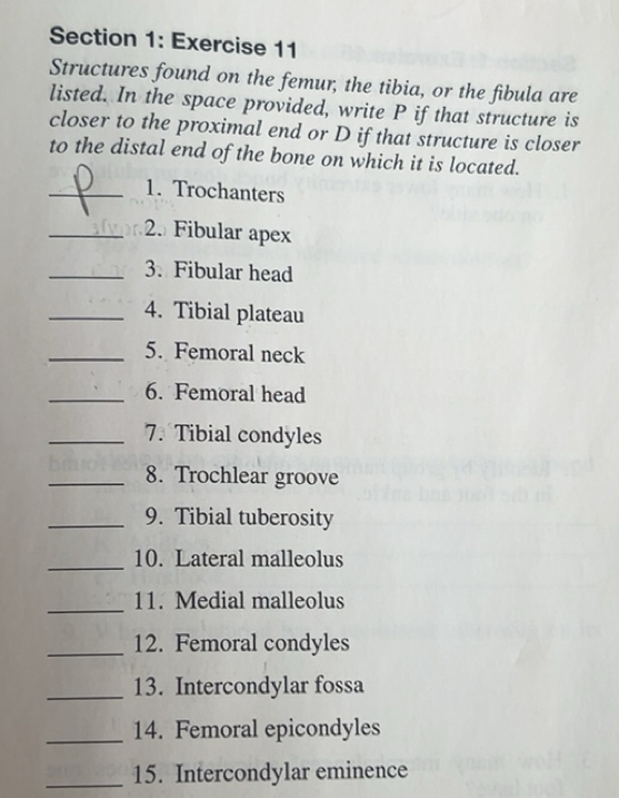 Solved: Structures found on the femur, the tibia, or the fibula are ...