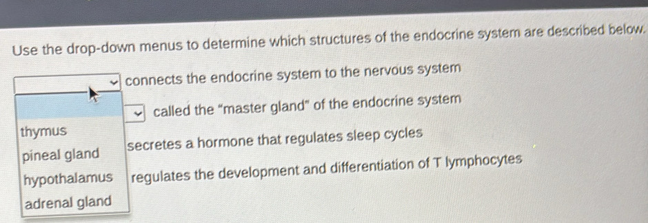 Solved: Use the drop-down menus to determine which structures of the ...