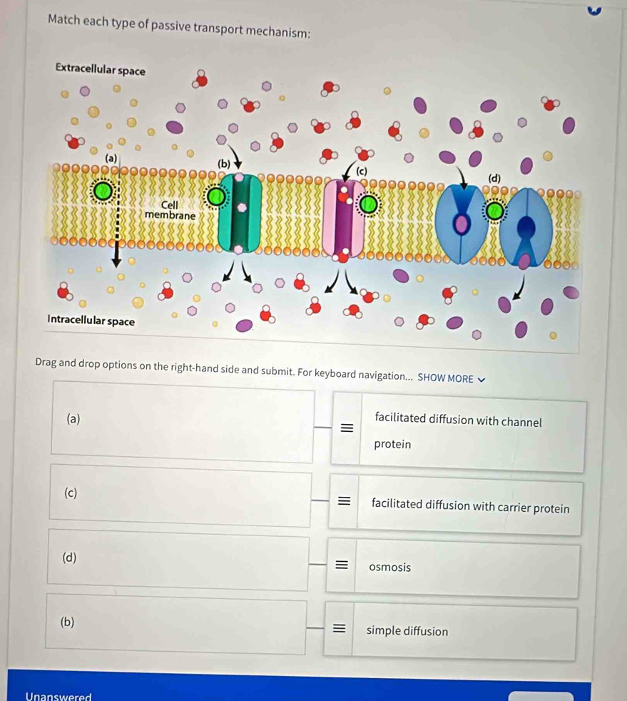 Solved: Match each type of passive transport mechanism: Drag and drop ...