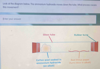 Solved: Look at the diagram below. The ammonium hydroxide moves down ...
