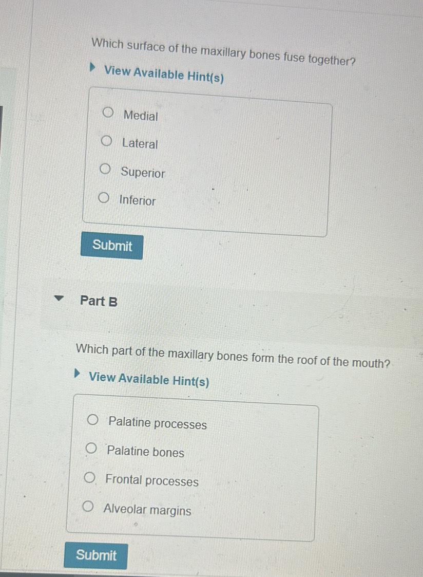 Solved: Which surface of the maxillary bones fuse together? View ...
