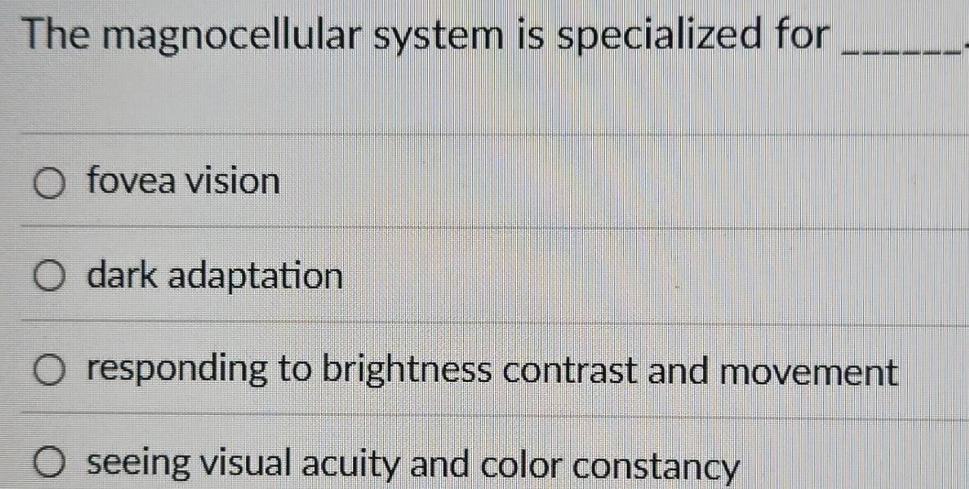 Solved: The magnocellular system is specialized for_ fovea vision dark ...