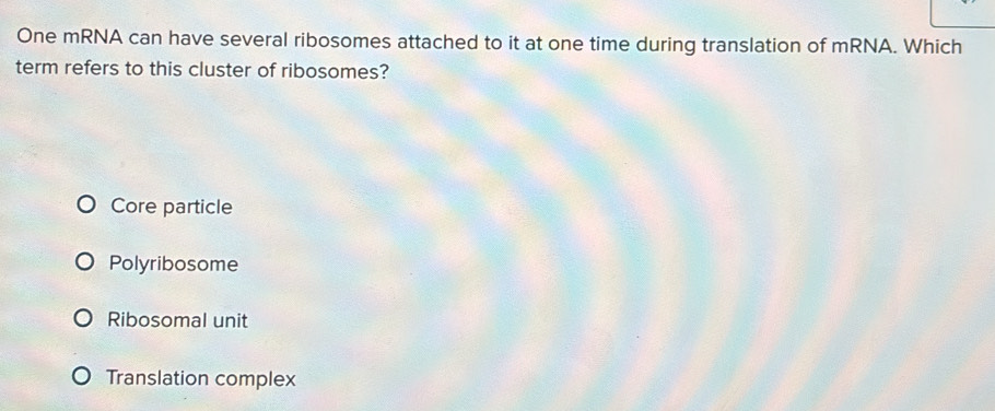 Solved: One mRNA can have several ribosomes attached to it at one time during translation of ...