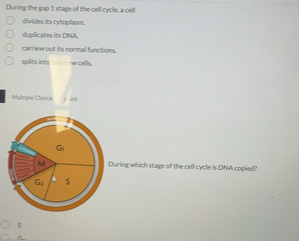 Solved: During the gap 1 stage of the cell cycle, a cell divides its ...