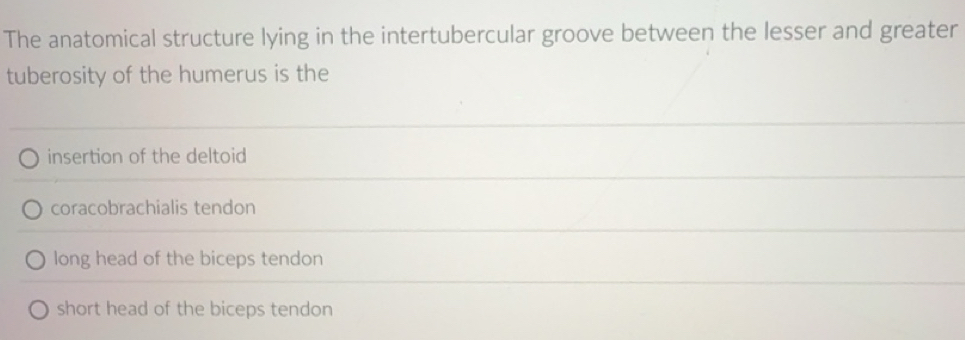 Solved: The anatomical structure lying in the intertubercular groove ...