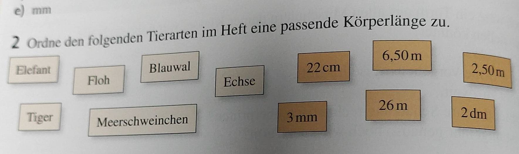 Gelöst:e) mm 2 Ordne den folgenden Tierarten im Heft eine passende ...