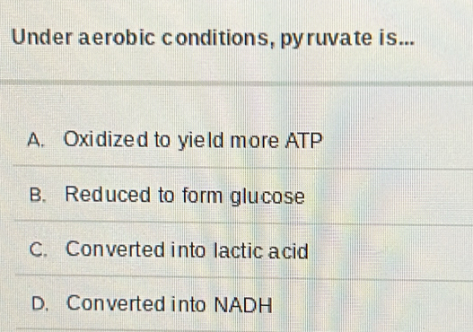 Solved: Under aerobic conditions, pyruvate is... A. Oxidized to yield ...