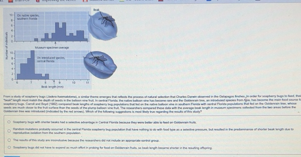Solved: From a study of soapberry bugs (Jadera haematoloma), a similar ...