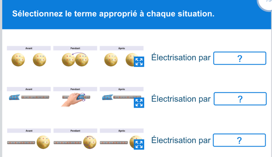 Solved: Sélectionnez le terme approprié à chaque situation. Avant ...