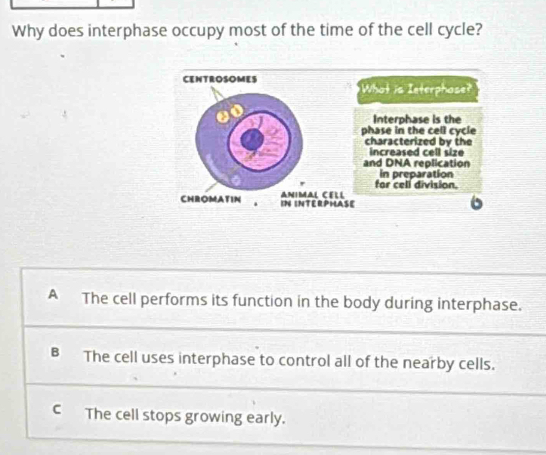 Solved: Why does interphase occupy most of the time of the cell cycle ...