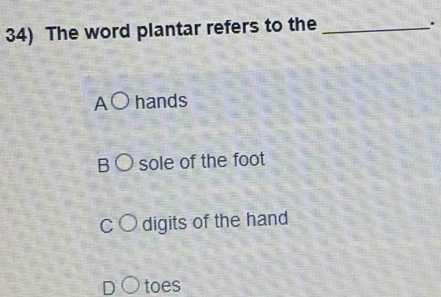 Solved: The word plantar refers to the_ . A hands sole of the foot ...