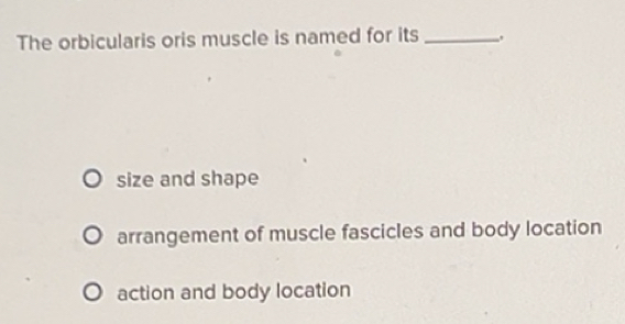 Solved: The orbicularis oris muscle is named for its __. size and shape ...