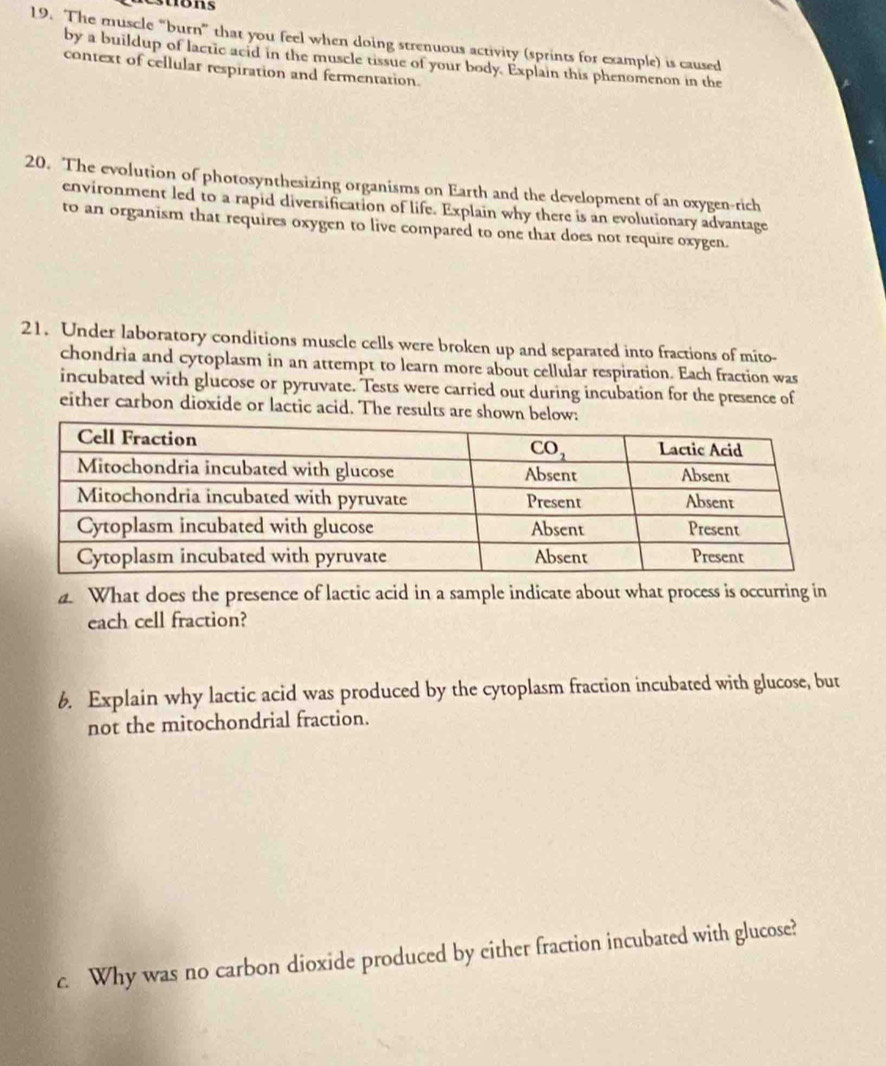 Solved: The muscle “burn” that you feel when doing strenuous activity ...