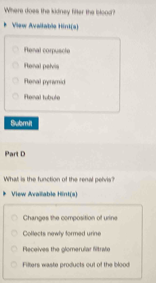 Solved: Where does the kidney filter the blood? View Available Hint(s ...