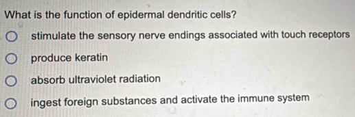 Solved: What is the function of epidermal dendritic cells? stimulate ...