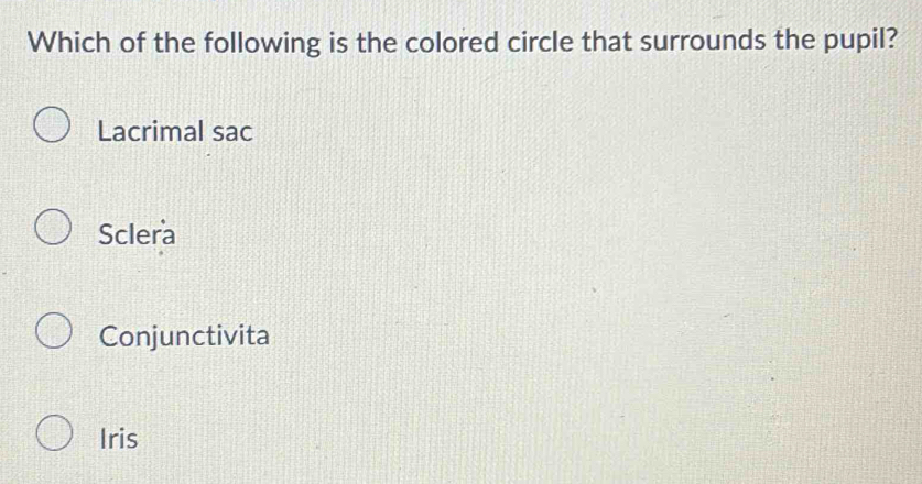 Solved: Which of the following is the colored circle that surrounds the ...