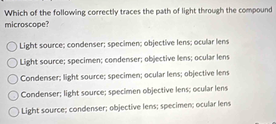 Solved: Which of the following correctly traces the path of light ...