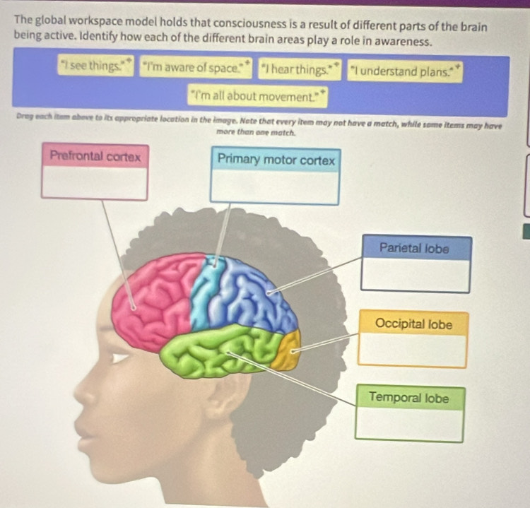 Solved: The global workspace model holds that consciousness is a result ...