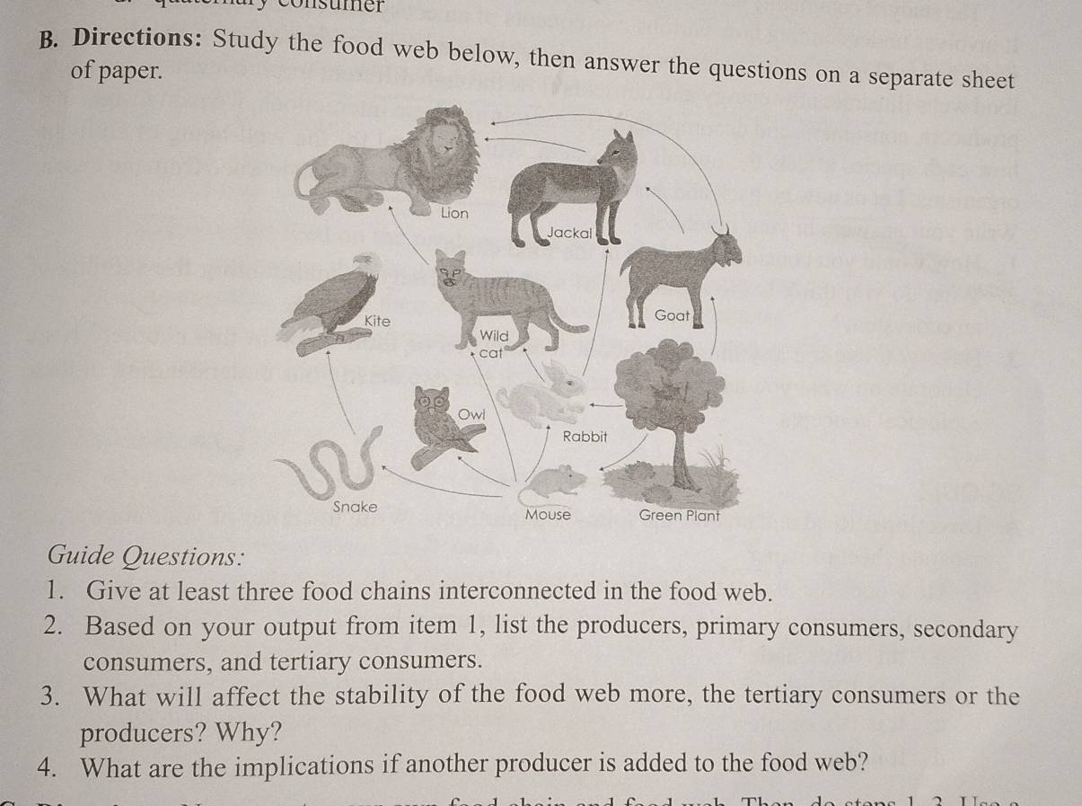 Solved: consumer B. Directions: Study the food web below, then answer ...